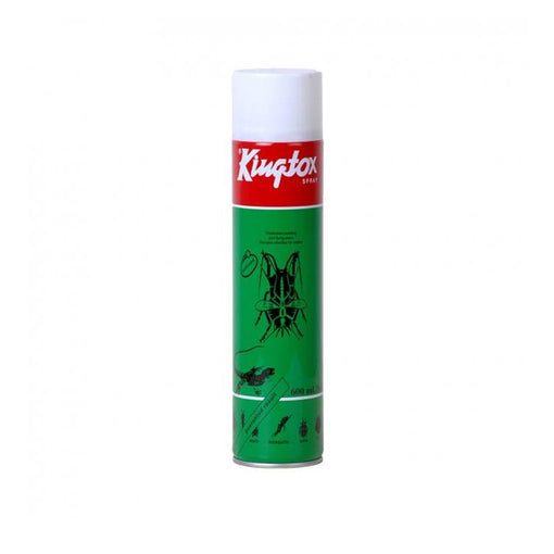 Buy Kingtox Insect Killer Spray Online at Best Prices in Pakistan – Springs