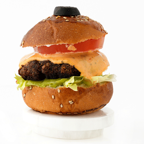 Buy Mini Burger Online at Best Prices in Pakistan – Springs
